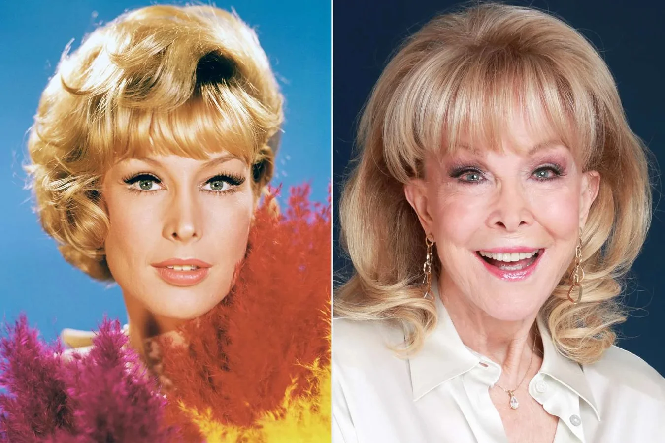 Dakota Johnson Plans Tattoo Tribute for Late Dog Zeppelin: Actress Reveals Touching Ink Idea