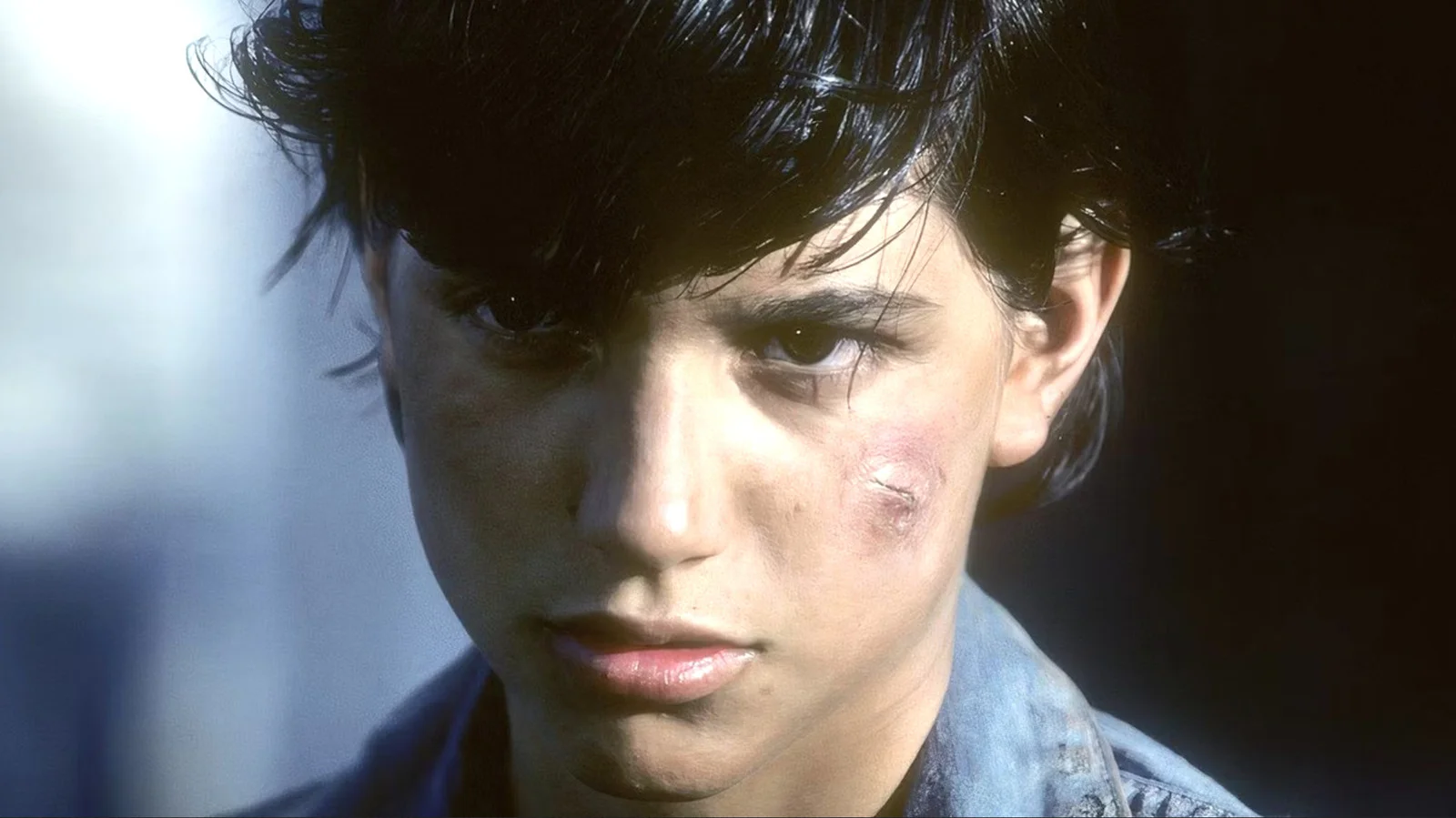 How Old Was Ralph Macchio in The Outsiders? The Surprising Truth